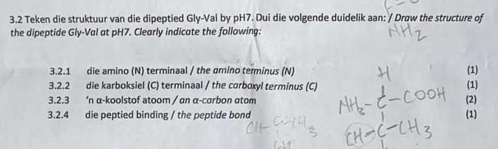 Solved 3.2 Teken die struktuur van die dipeptied Gly-Val by | Chegg.com