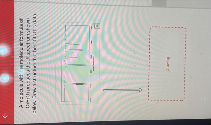 Solved A molecule with the molecular formula of C3H6O2 | Chegg.com