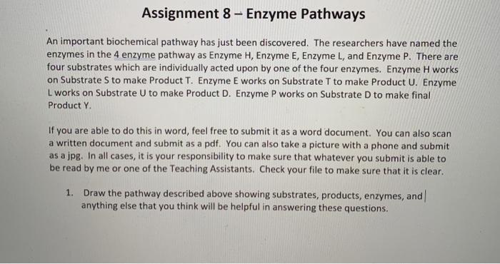 Solved Assignment 8 - Enzyme Pathways An important | Chegg.com