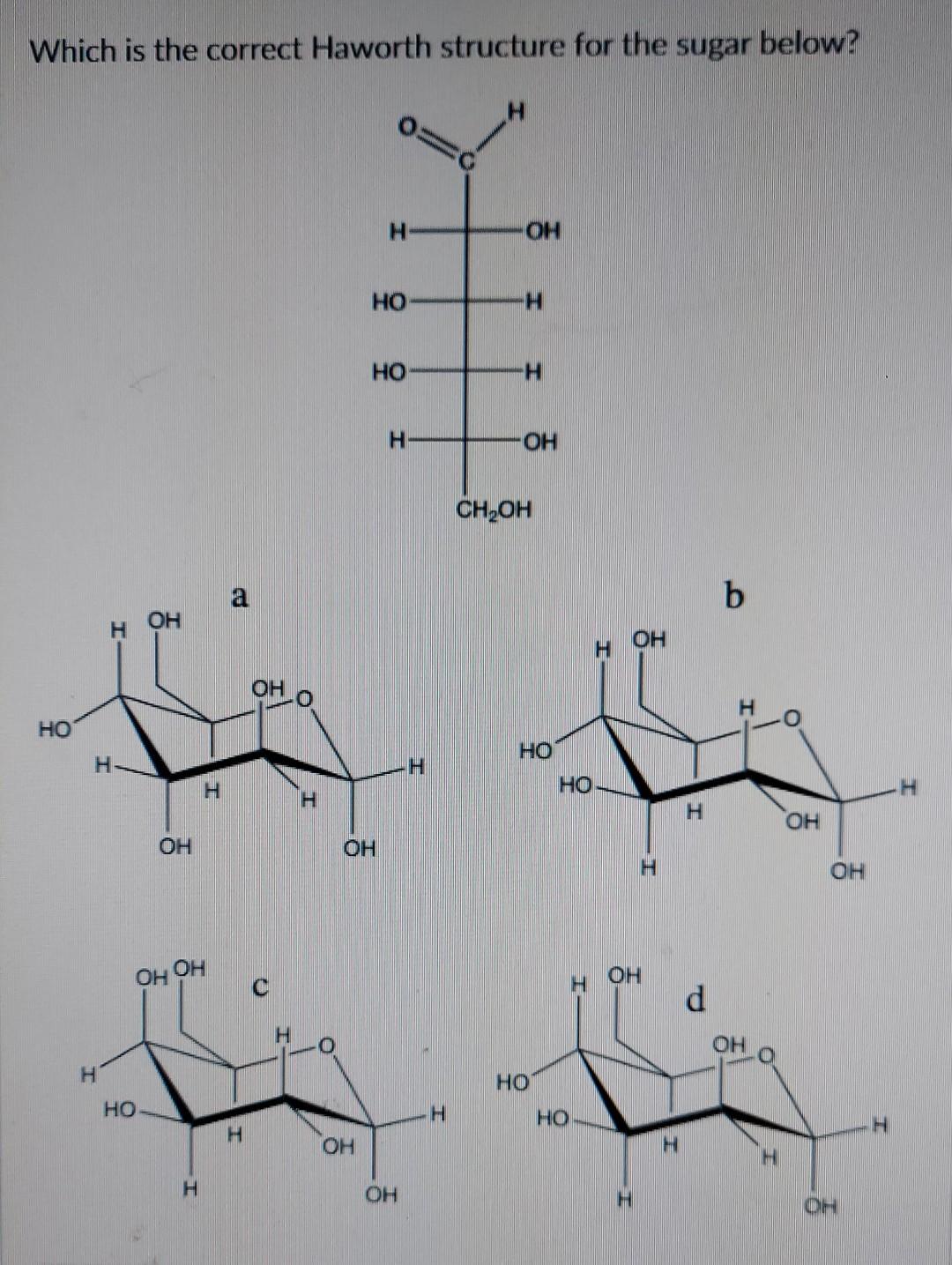 Solved What is the correct Haworth structure for the sugar | Chegg.com