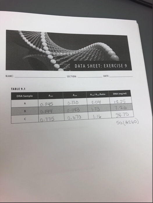 Solved WORKSHEET: EXERCISE 9 NAME SECTION: QUESTIONS (1 PT | Chegg.com