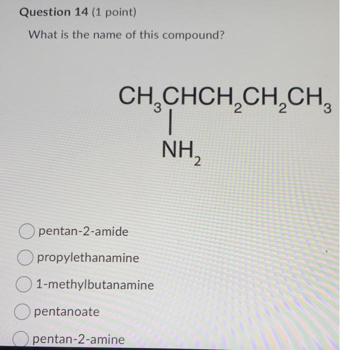 Solved What is the name of this compound? pentan-2-amide | Chegg.com