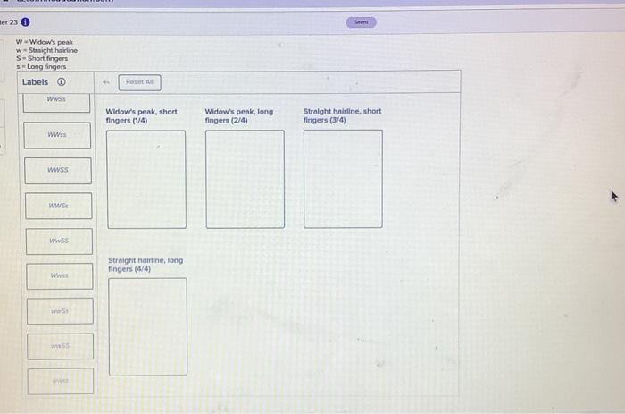 Solved Label the correct phenotype and genobye that would be | Chegg.com Solved Label the correct phenotype and genobye that would be | Chegg.com