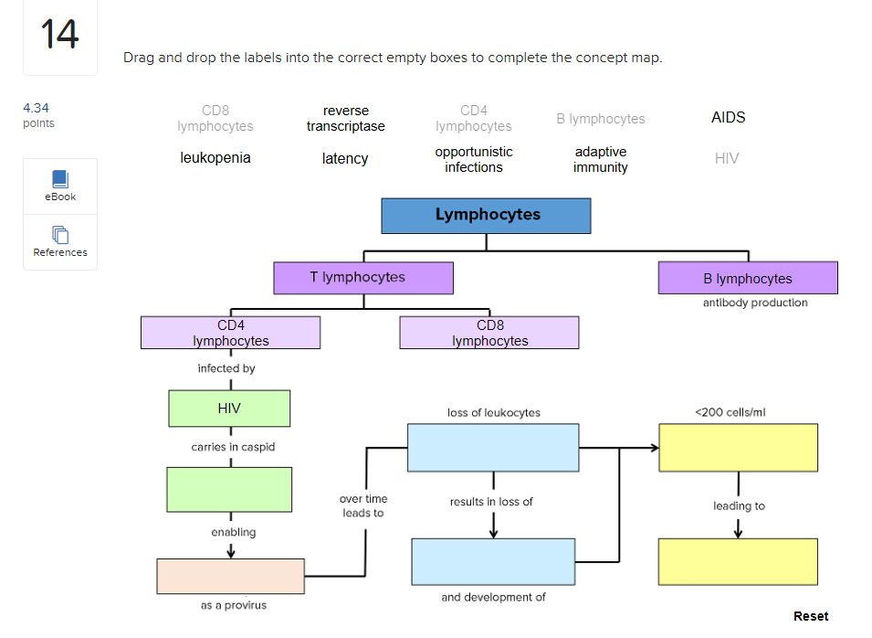 Solved Drag and drop the labels into the correct empty boxes | Chegg.com