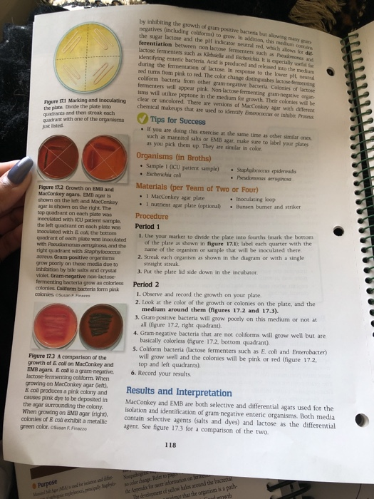 Solved TOT Zoo Add Page Insert Table Chart Text Shape Media | Chegg.com