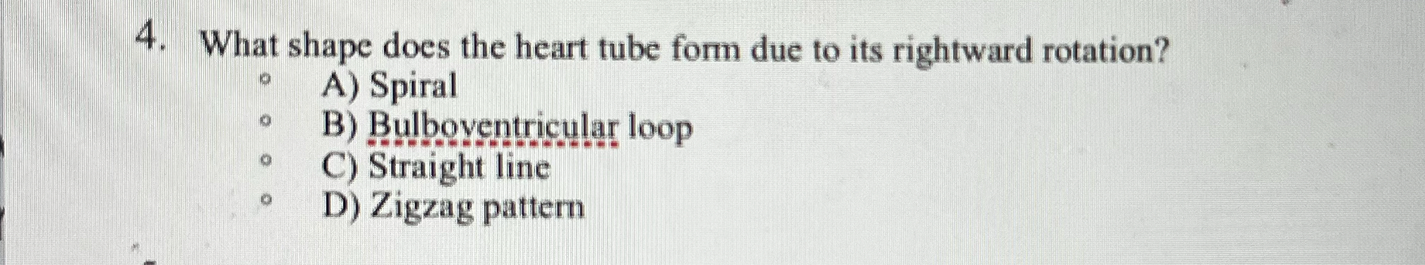 Solved by an EXPERT What shape does the heart tube form due to its | Chegg.com
