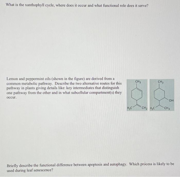 Solved What is the xanthophyll cycle, where does it occur | Chegg.com