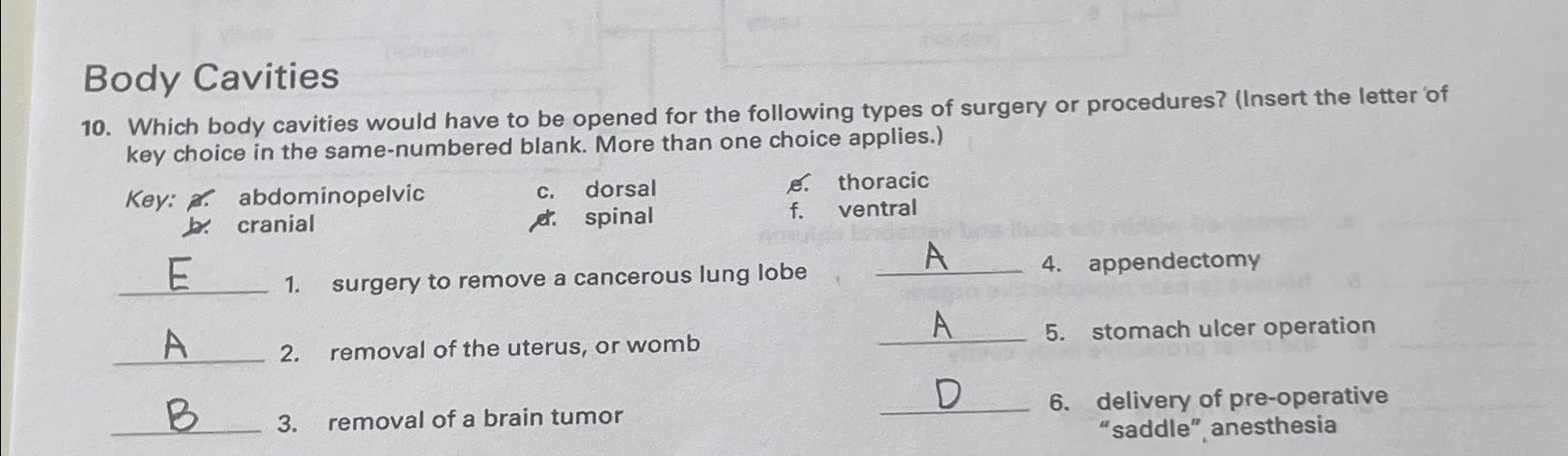 Solved Body Cavities10. ﻿Which body cavities would have to | Chegg.com