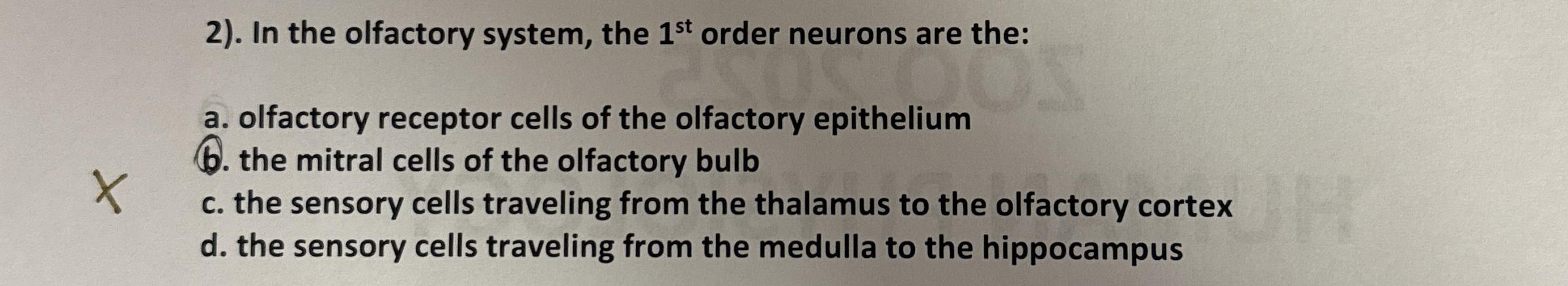 Solved . ﻿In the olfactory system, the 1st ﻿order neurons | Chegg.com