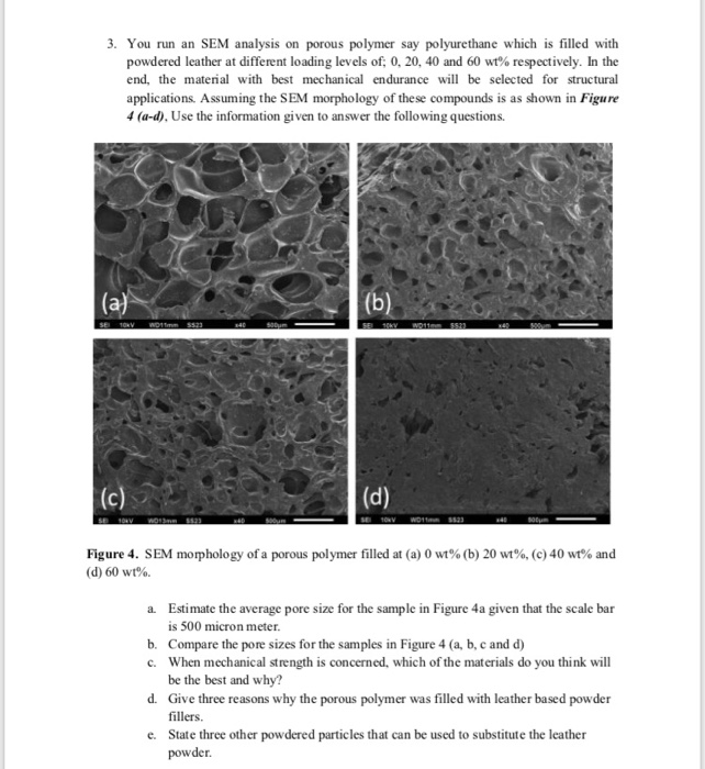 Solved 3. You run an SEM analysis on porous polymer say | Chegg.com