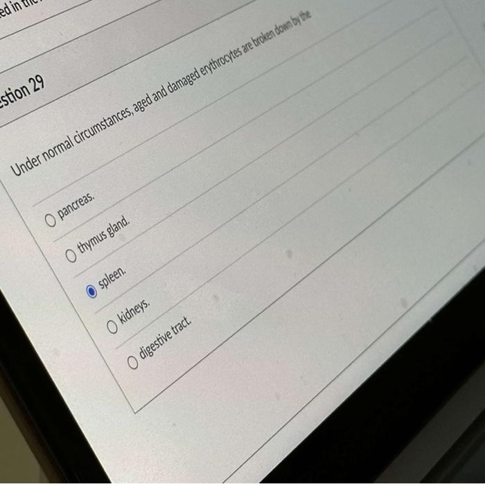 Solved - se idnet | Chegg.com