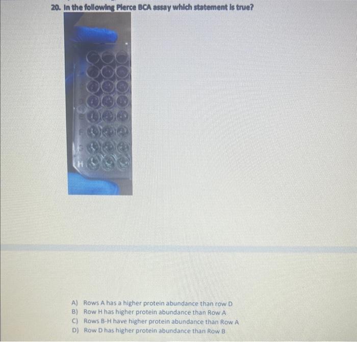 Solved 20. In the followine Pierce BCA assay which statement | Chegg.com