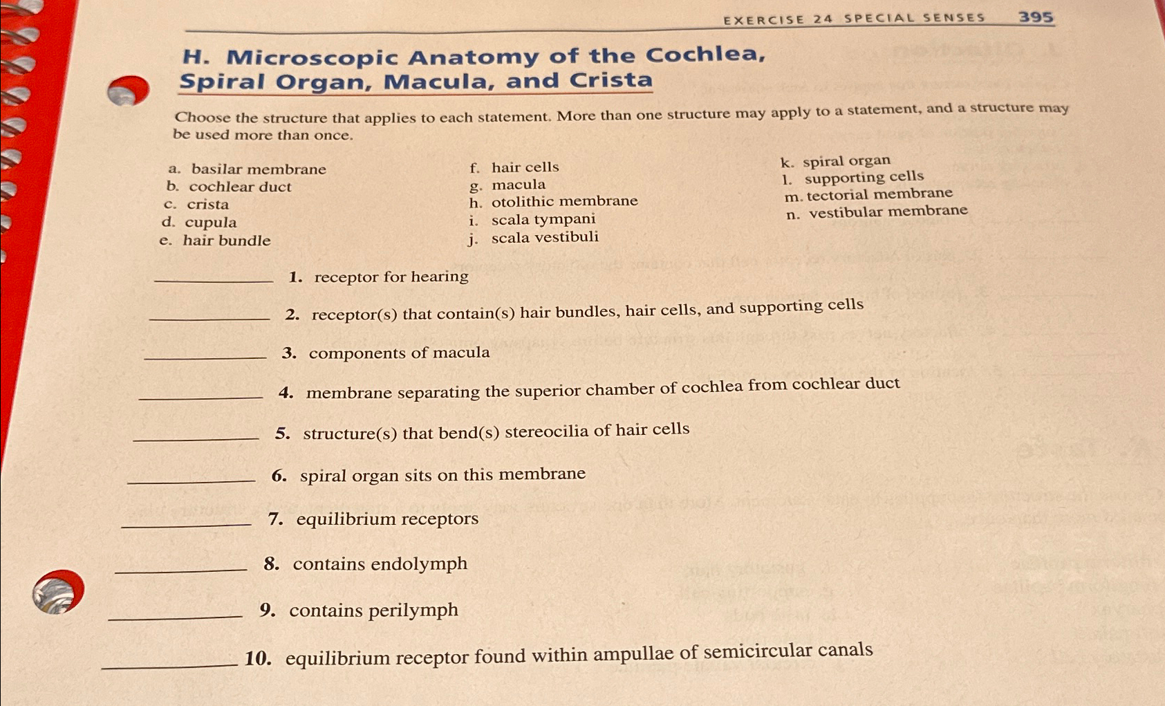 Solved EXERCISE 24 ﻿SPECIAL SENSES 395H. ﻿Microscopic | Chegg.com