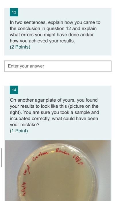 Solved 15 A subculturing experiment was assigned for Aziz in | Chegg.com