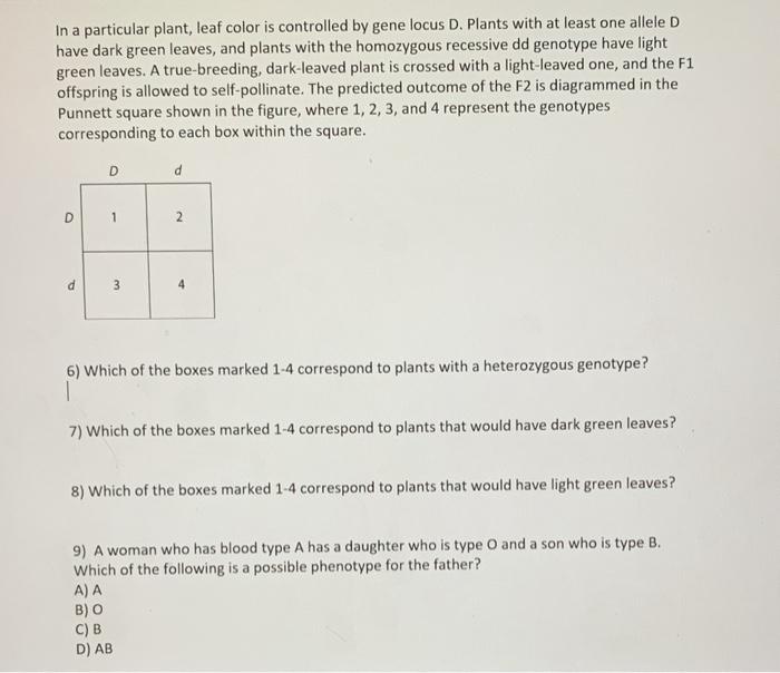 Solved In a particular plant, leaf color is controlled by | Chegg.com