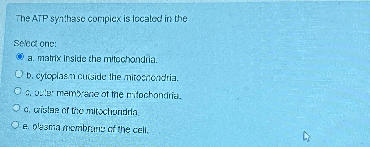 Solved The ATP synthase complex is located in theSelect | Chegg.com