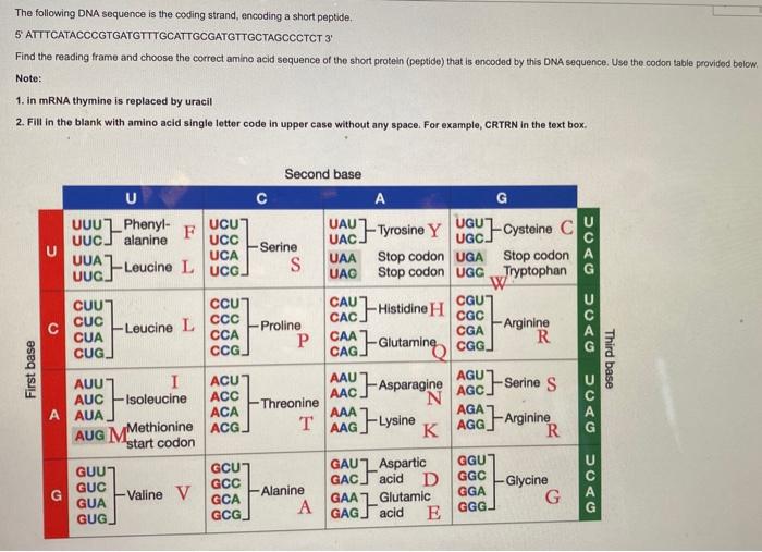 Solved The following DNA sequence is the coding strand, | Chegg.com