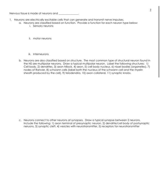 Solved Organization of the Nervous System 1. The Nervous | Chegg.com