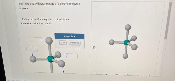 Solved The three-dimensional structure of a generic molecule | Chegg.com