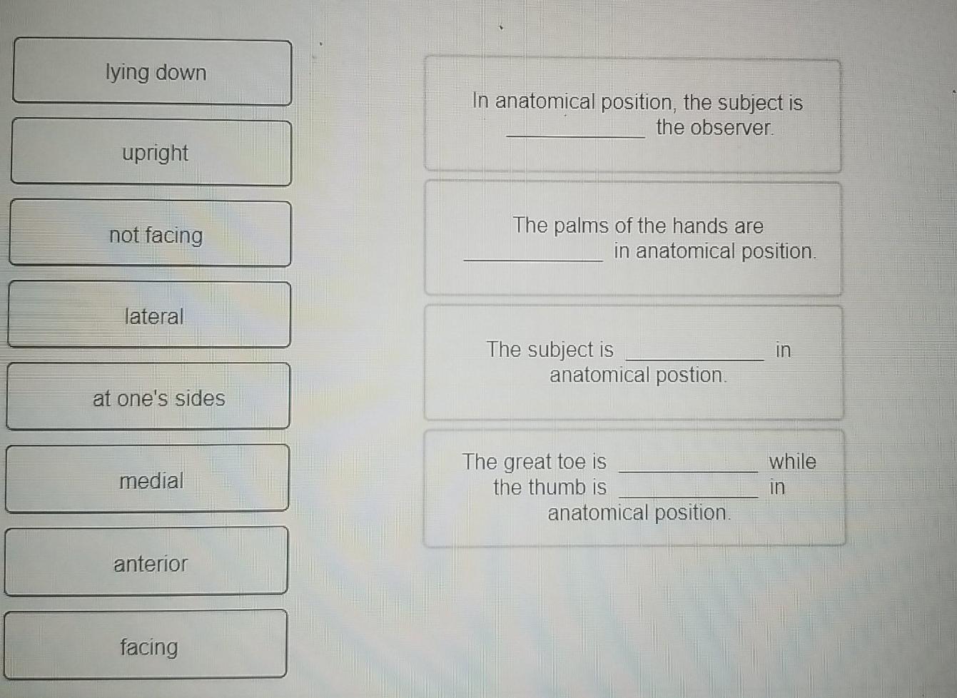 Solved Drag each label to the proper position to identify | Chegg.com