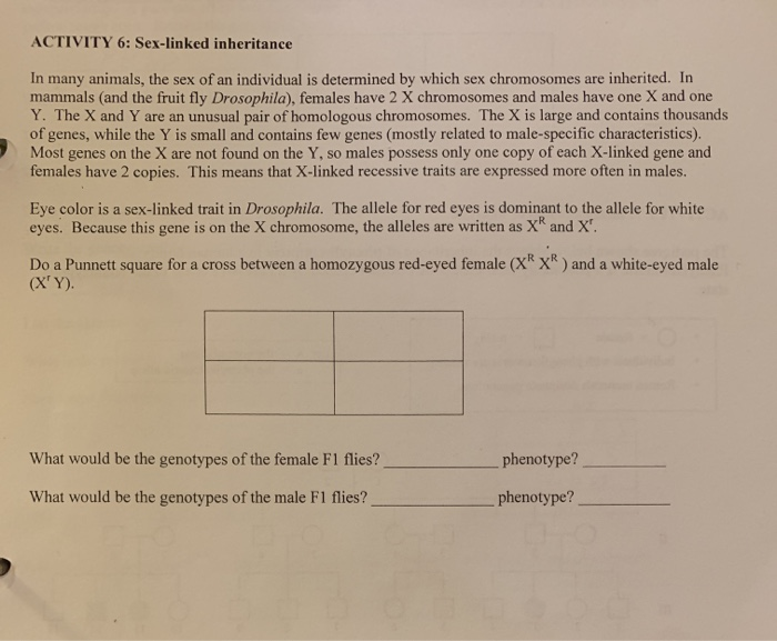 Solved ACTIVITY 6: Sex-linked inheritance In many animals, | Chegg.com