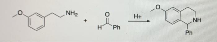 Solved NH2 H+ NH H Ph Ph | Chegg.com
