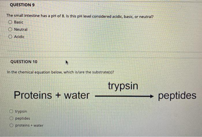 Solved QUESTION 9 The small intestine has a pH of 8. Is this | Chegg.com