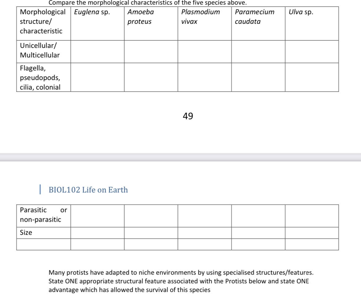 Solved Compare the morphological characteristics of the five | Chegg.com
