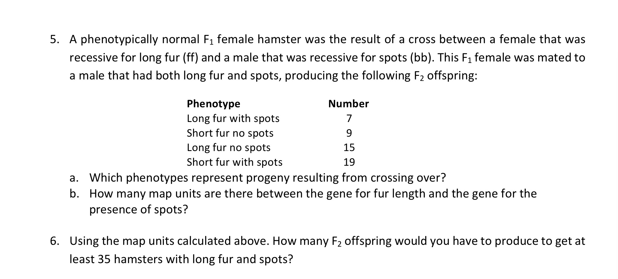 A phenotypically normal F1 ﻿female hamster was the | Chegg.com