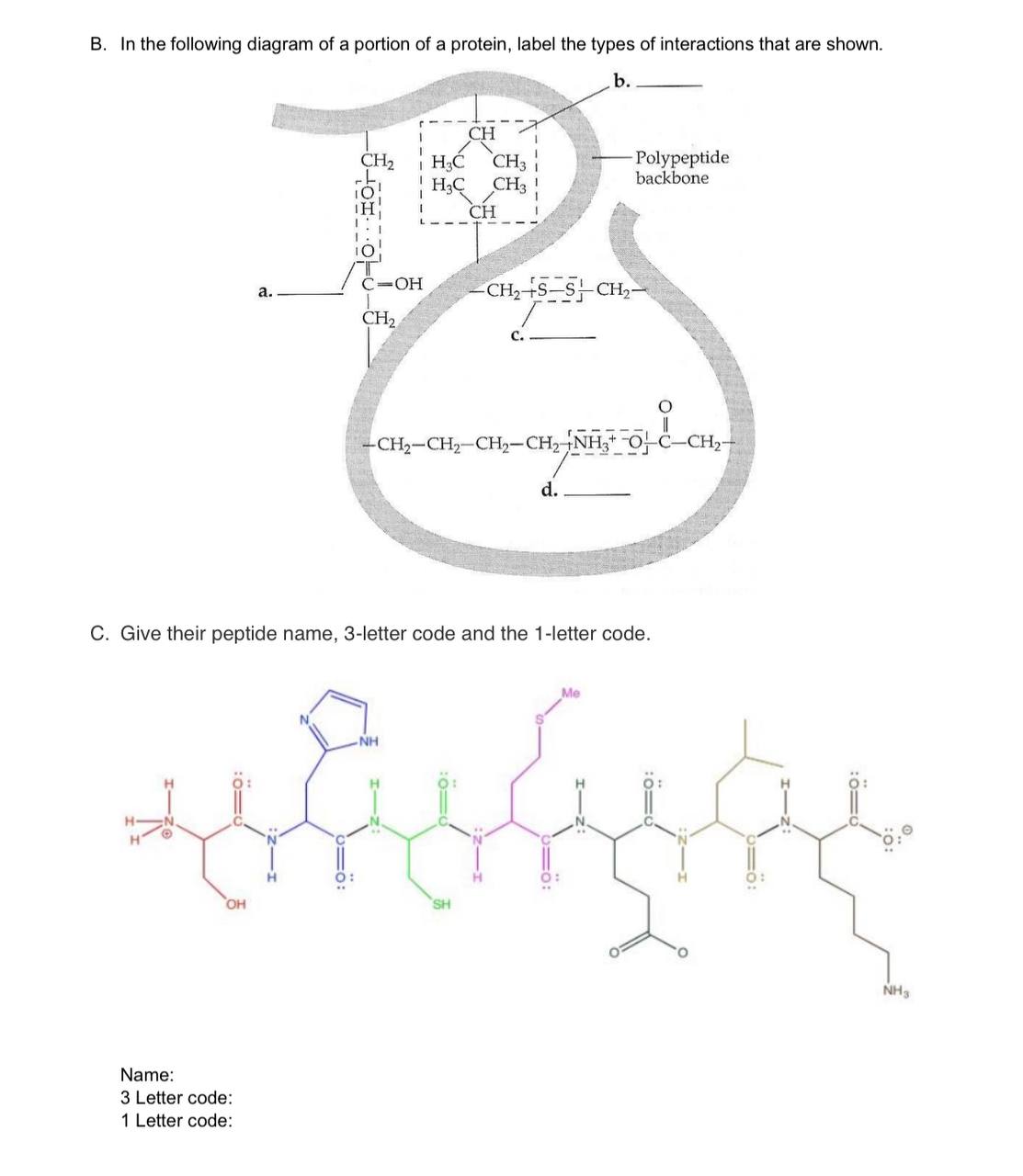 Solved B. ﻿In the following diagram of a portion of a | Chegg.com