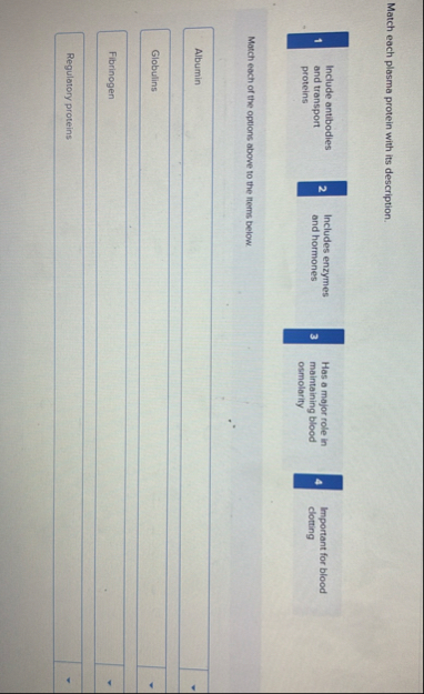 Solved Match each plasma protein with its | Chegg.com