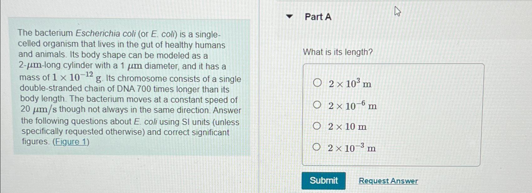 Solved Part AThe bacterium Escherichia coli (or E. ﻿coli) | Chegg.com