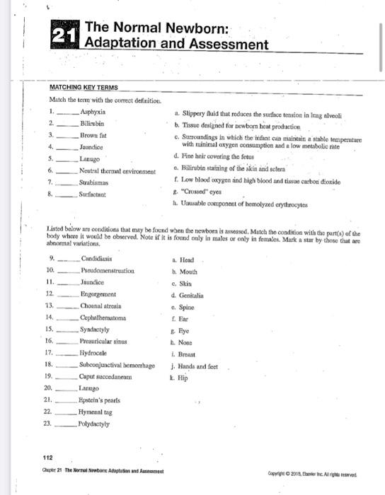 Solved The Normal Newborn: Adaptation and Assessment | Chegg.com