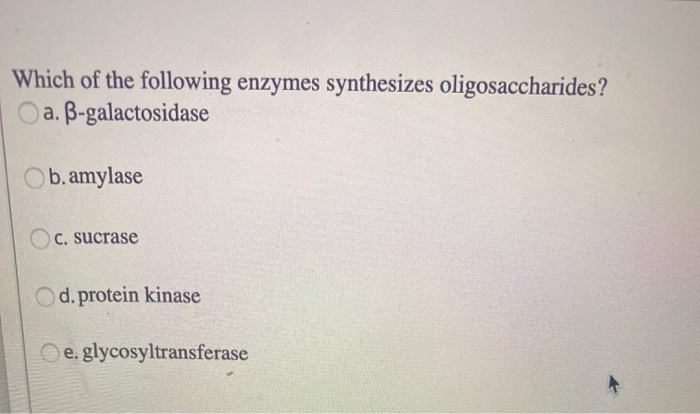 Solved Which of the following enzymes synthesizes | Chegg.com