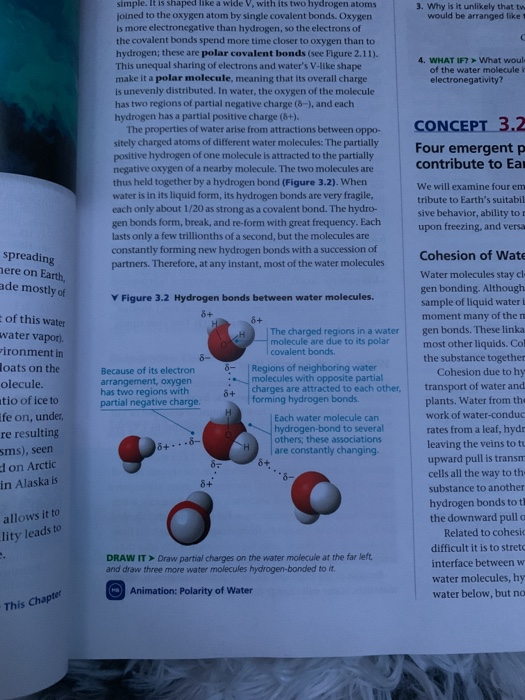 Solved: Diagram How 4 Water Molecules, 1 Cl-ion, And One N... | Chegg.com