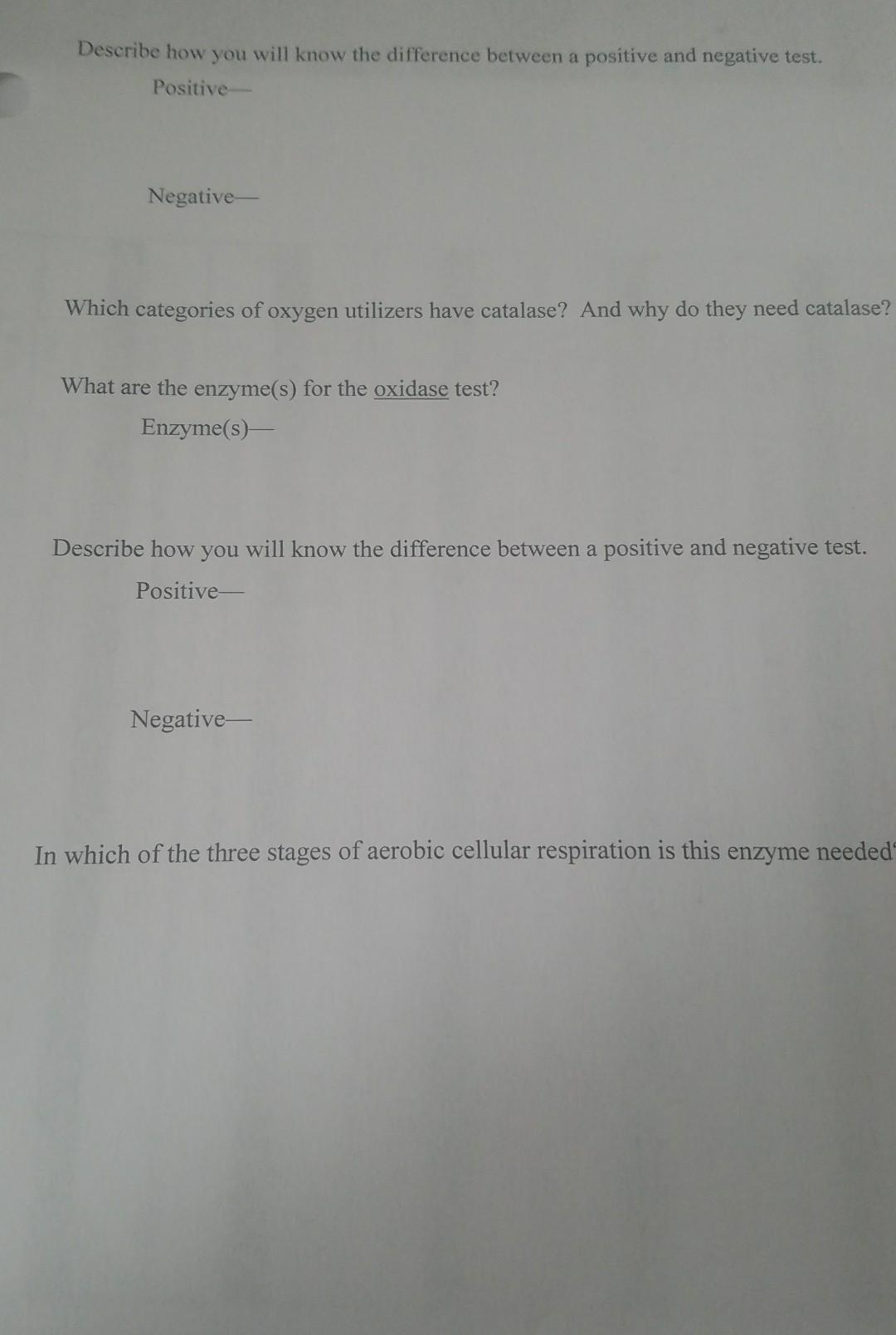Solved Enzyme Pre-Laboratory Assignment-Using your lab | Chegg.com