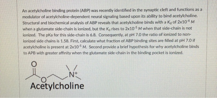 Solved An acetylcholine binding protein (ABP) was recently | Chegg.com