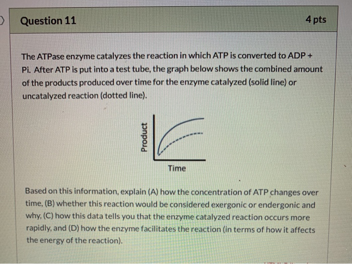 Solved Question 11 4 pts The ATPase enzyme catalyzes the | Chegg.com