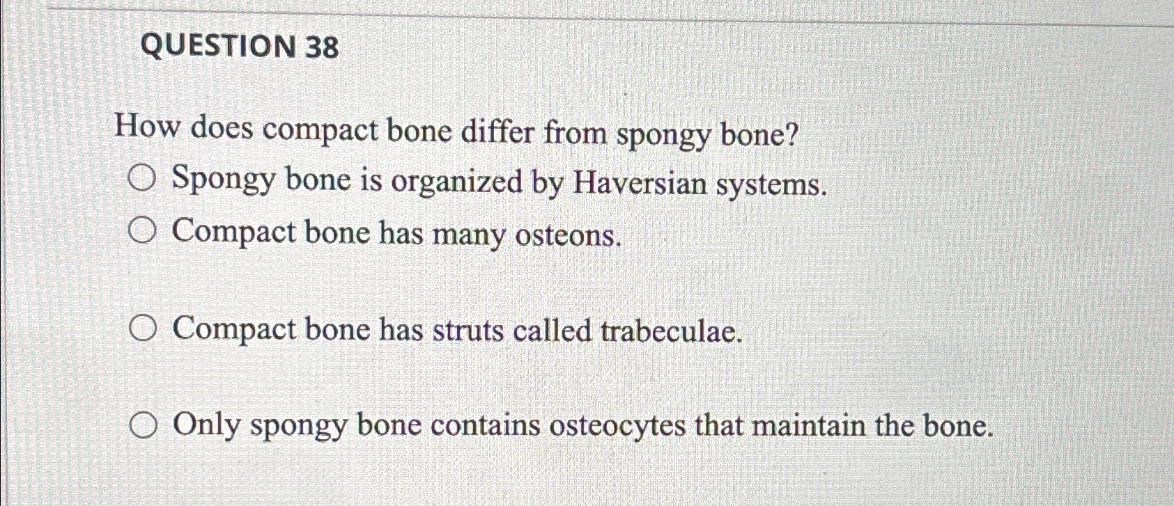 Solved QUESTION 38How does compact bone differ from spongy | Chegg.com