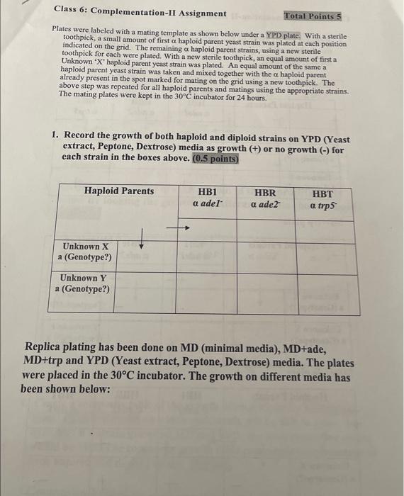 Solved Class 6: Complementation-II Assignment Total Points 5 | Chegg.com