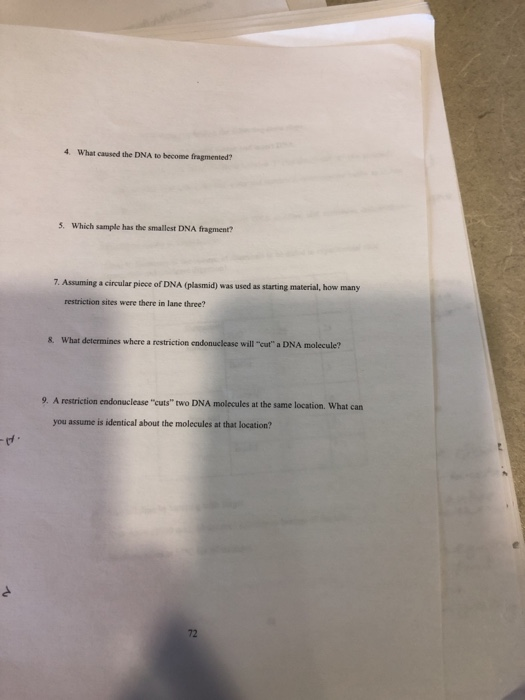 Solved 4 What caused the DNA to become fragmented? 5. Which | Chegg.com
