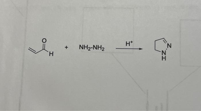 Solved +NH2−NH2 H+ | Chegg.com