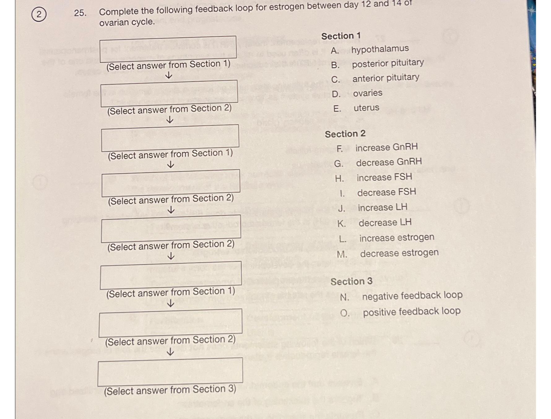 Solved (2) 25. ﻿Complete the following feedback loop for | Chegg.com