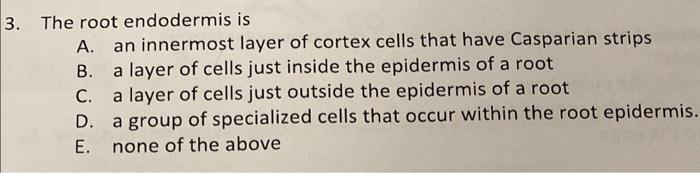 Solved The root endodermis is A. an innermost layer of | Chegg.com