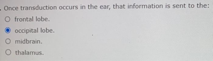 Solved Once transduction occurs in the ear, that information | Chegg.com
