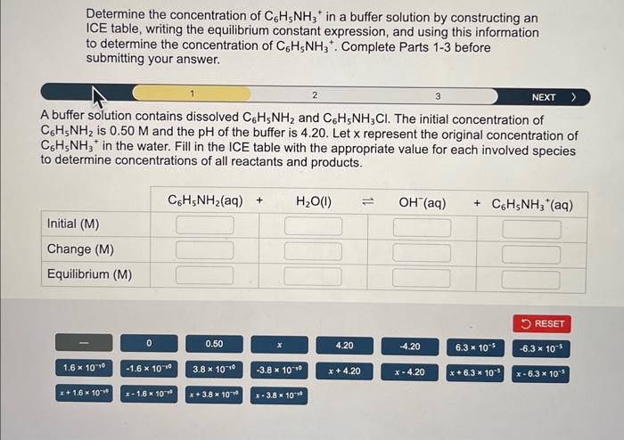 Solved Determine the concentration of C6H5NH3+in a buffer | Chegg.com