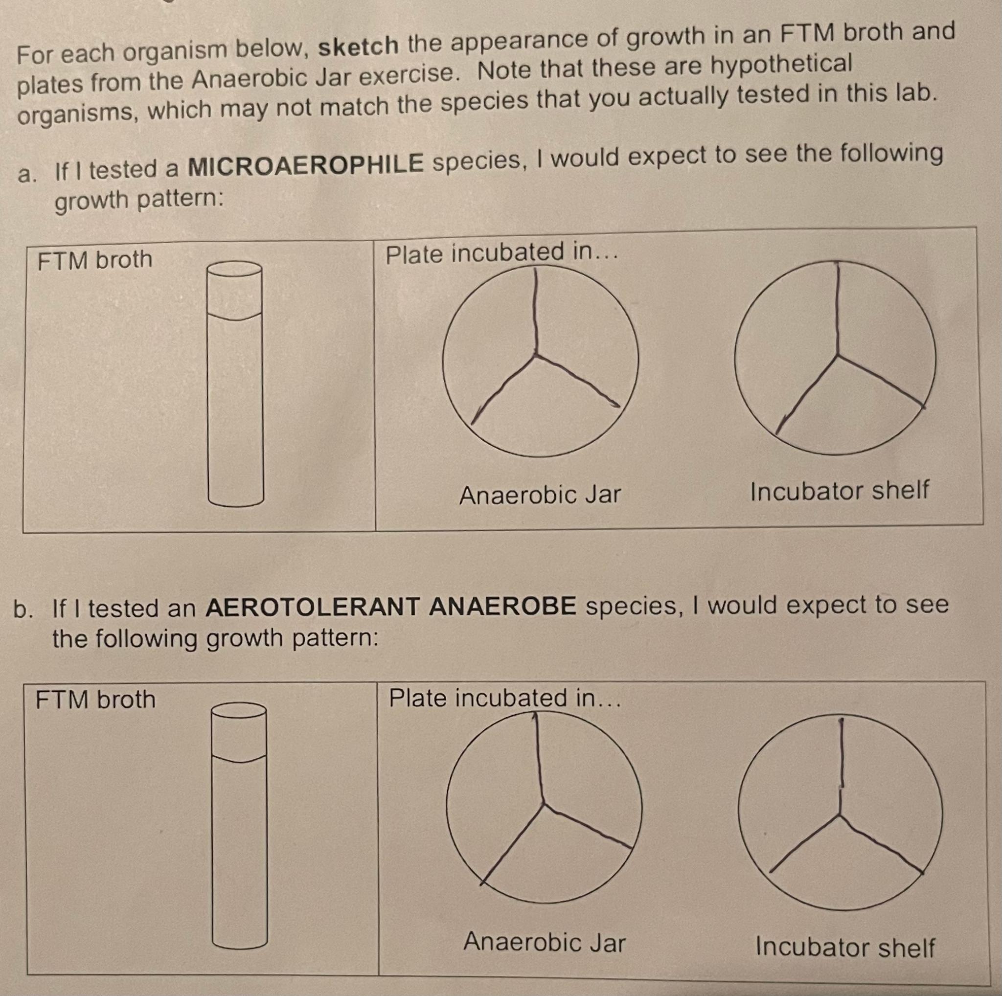 Solved For each organism below, sketch the appearance of | Chegg.com