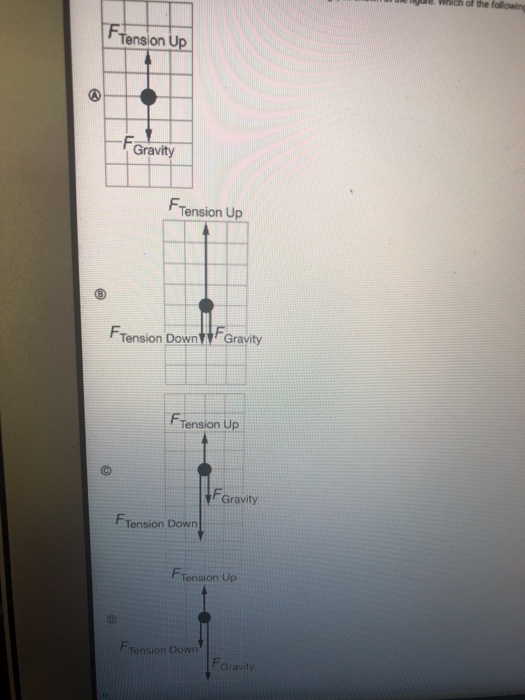 Solved three identical blocks, X, Y, and Z, hang up from | Chegg.com Solved three identical blocks, X, Y, and Z, hang up from | Chegg.com