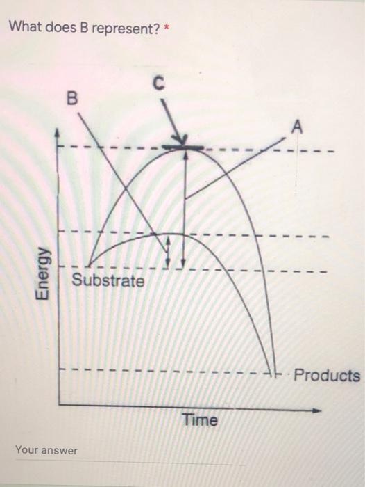 Solved What does B represent? С B A 1 - - 1 J - - 1 1 1 | Chegg.com