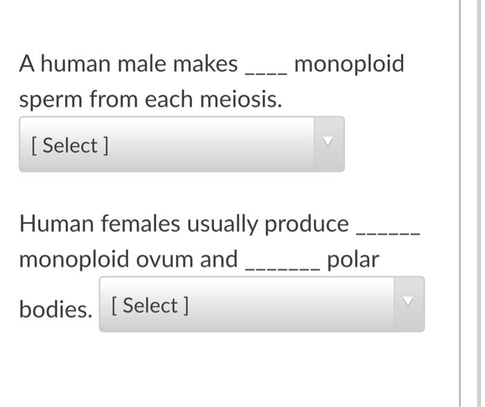 Solved A human male makes ____ monoploid sperm from each | Chegg.com